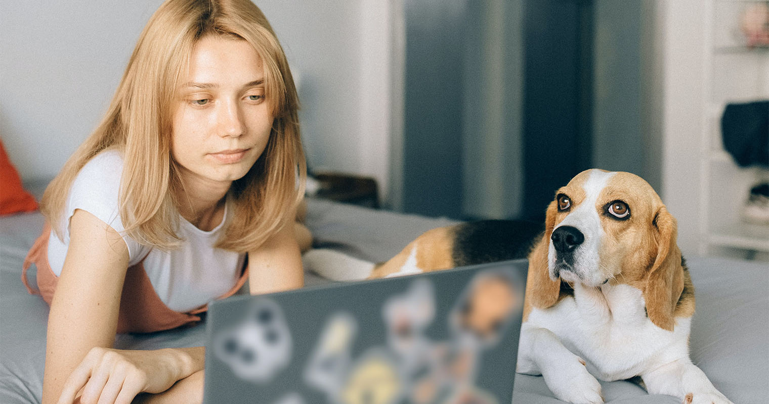 Vet Bill Assistance: Get Help With Vet Bills