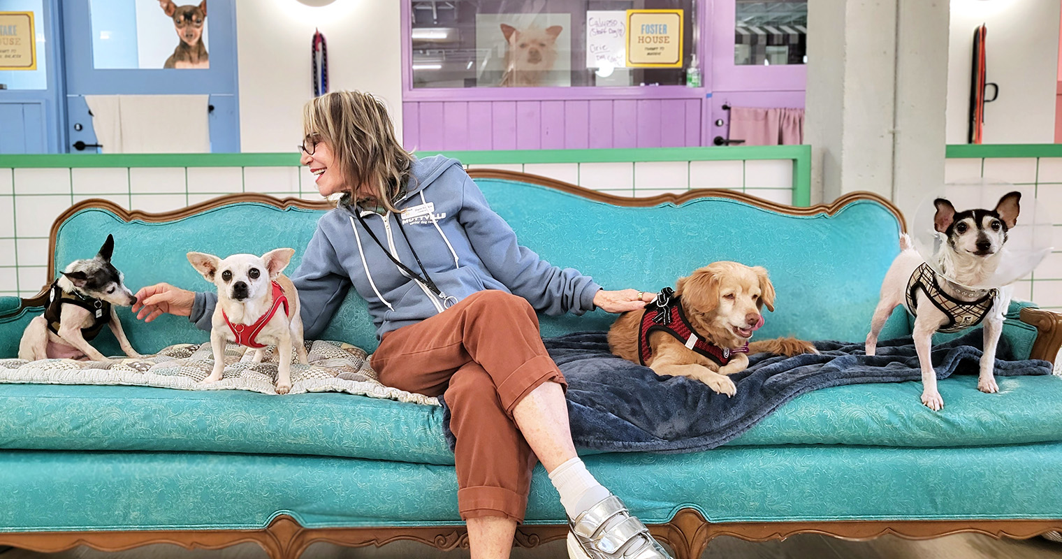 Meet Three California Rescues Giving Senior Dogs a Second Chance
