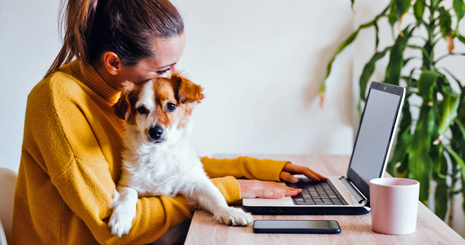 What Does It Mean to Surrender a Dog?