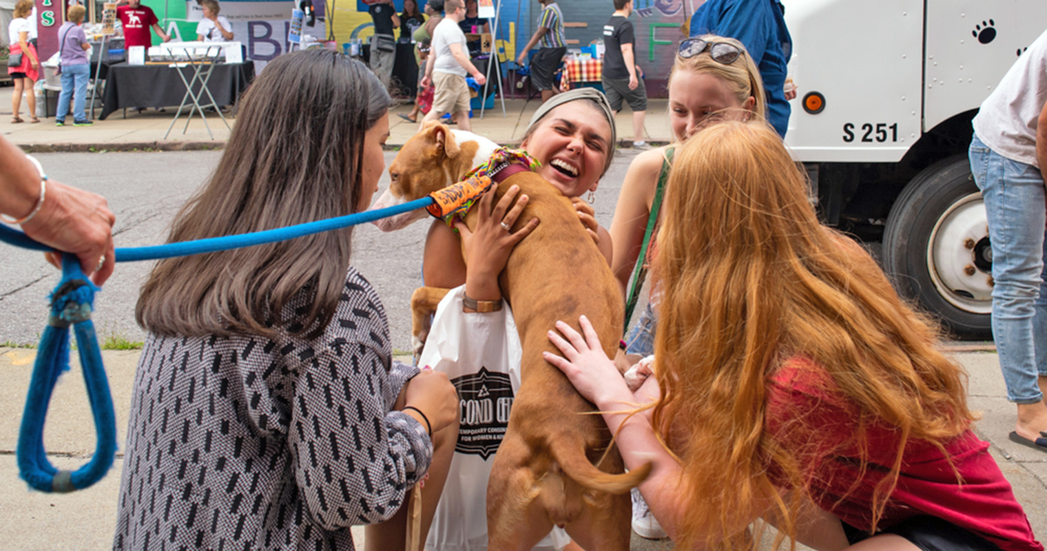 Your Guide to Pet Adoption Events