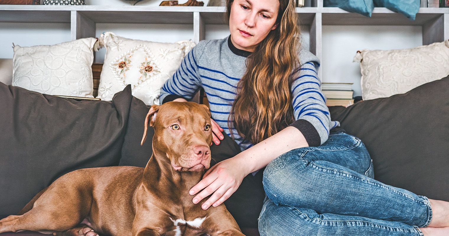 Returning a Dog to a Rescue