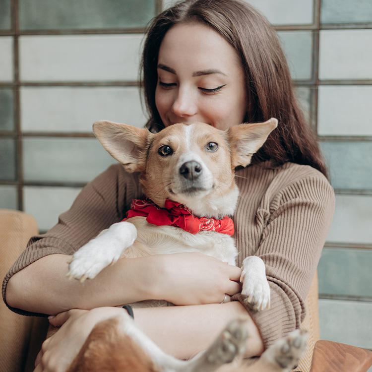 Celebrate Adopt a Shelter Dog Month—How to Help Dogs in Need
