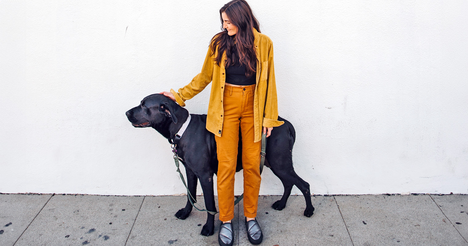 Irish Wolfhound vs. Great Dane: Which is Right for You?