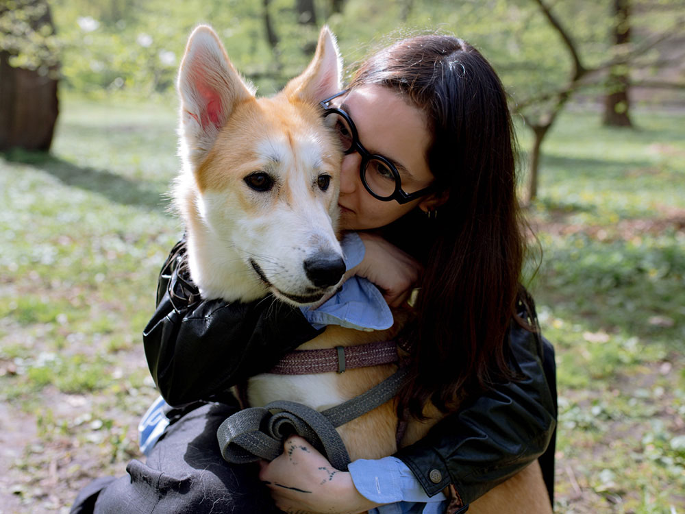 15 Husky Mixes Thatll Woo Your Heart