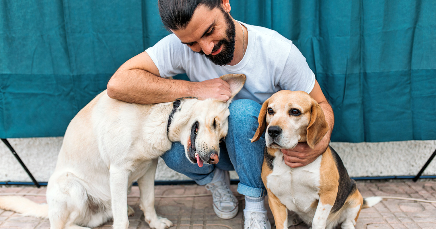 125+ Strongest Names for Dogs: Intimidating Names For Your Badass Pup