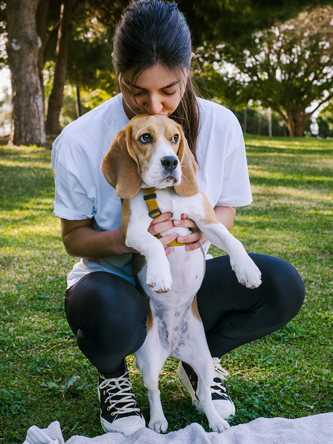 Do Dogs Like Getting Kisses From Their Humans?