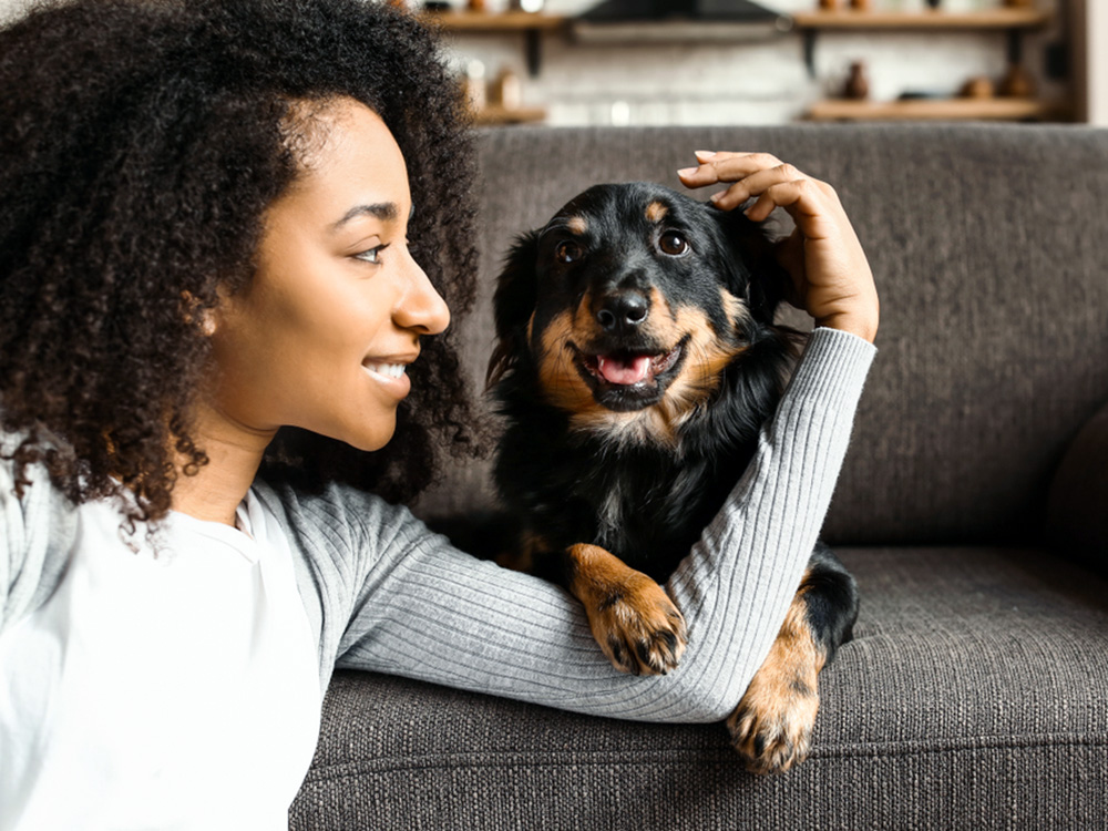 Why Do Dogs Paw at You? Decoding Pawing Behavior in Dogs