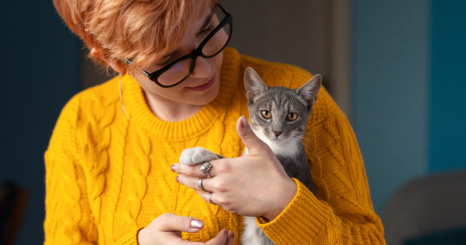 How to Welcome a New Cat—Your New Cat’s First Day