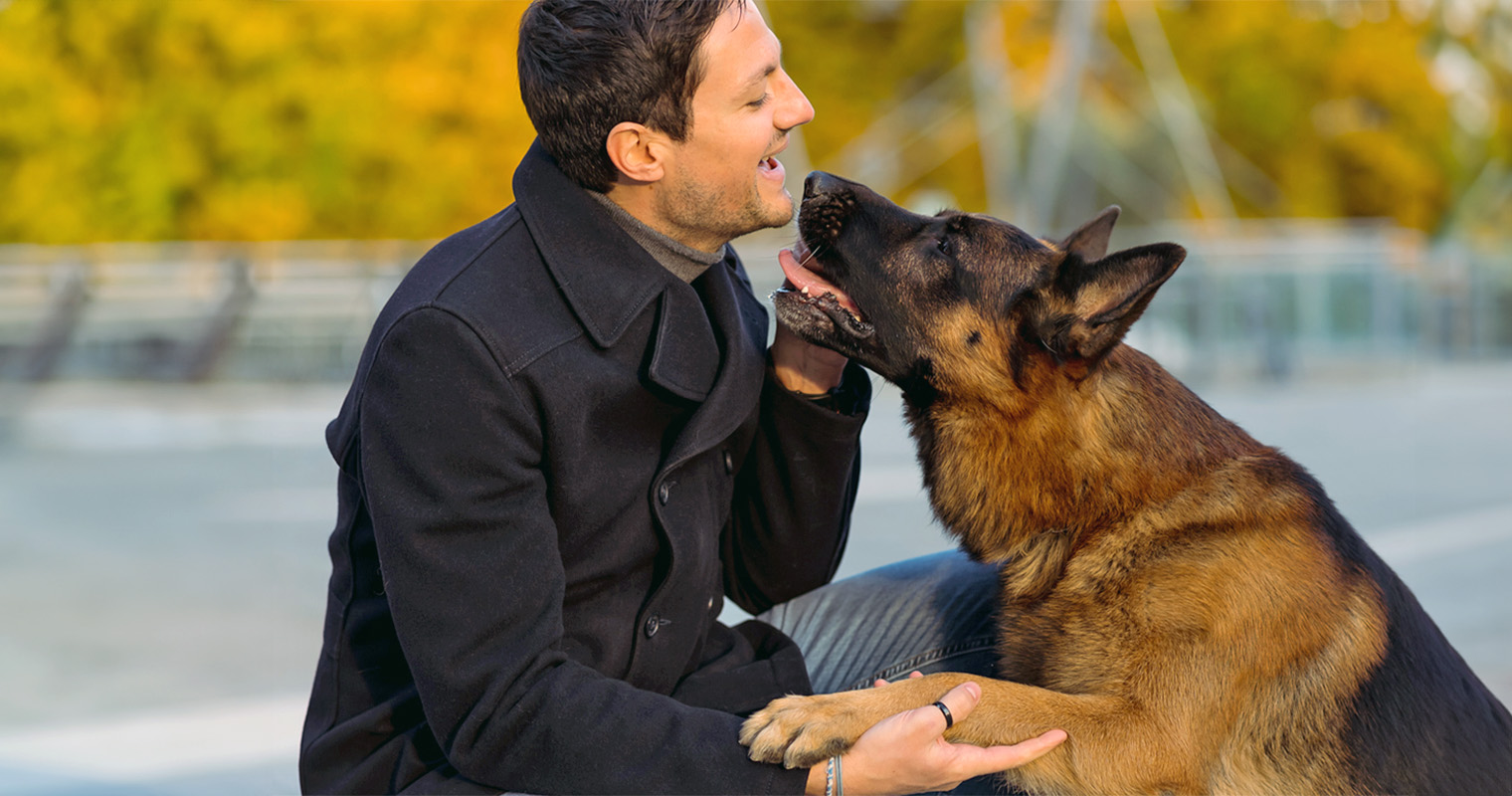 Top 15 Protective Dog Breeds