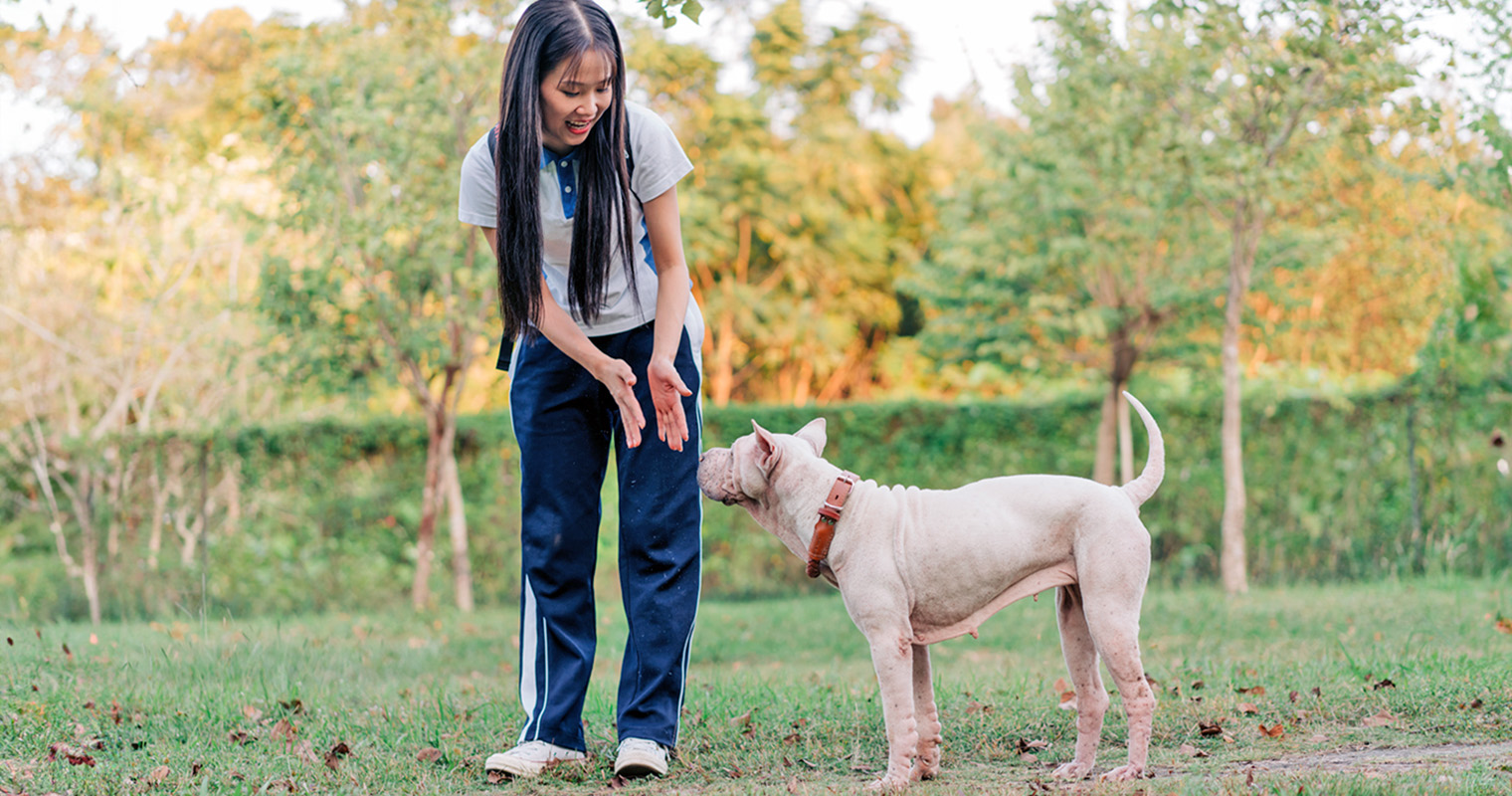 How to Build Trust With Your New Dog