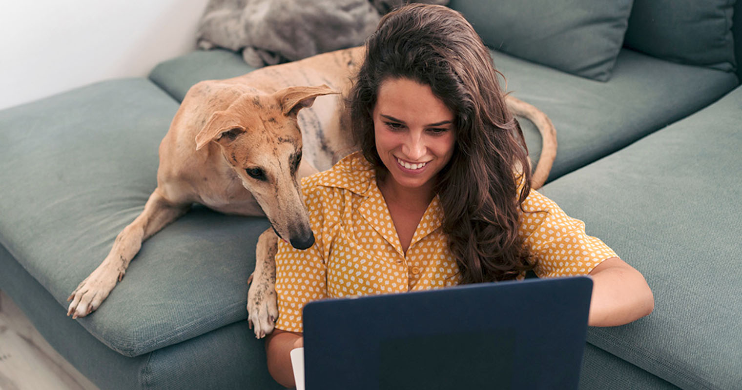Where Can I Adopt A Dog: Find A Reputable Dog Shelter