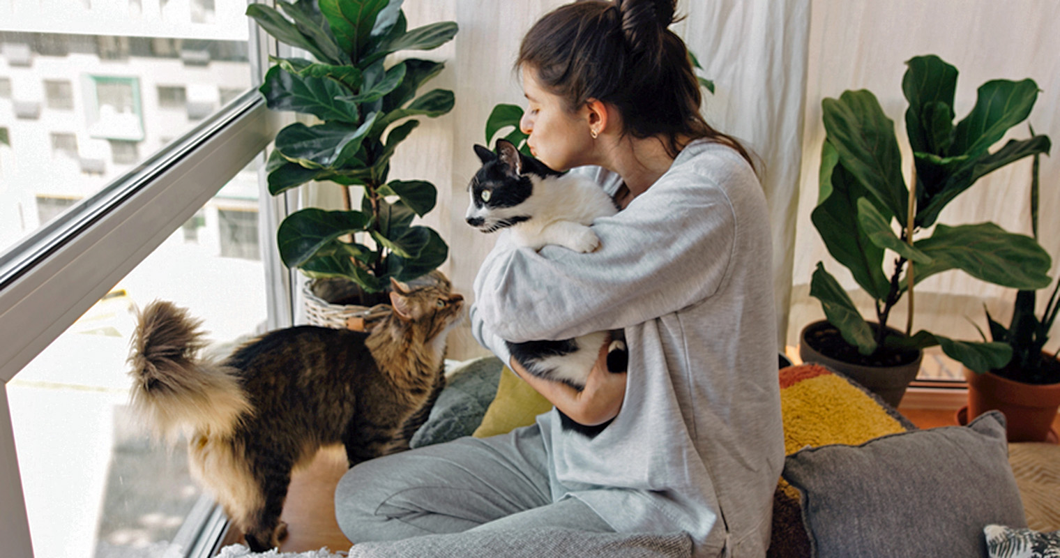 Do Cats Get Lonely? Here’s Why Cats Are Better in Pairs