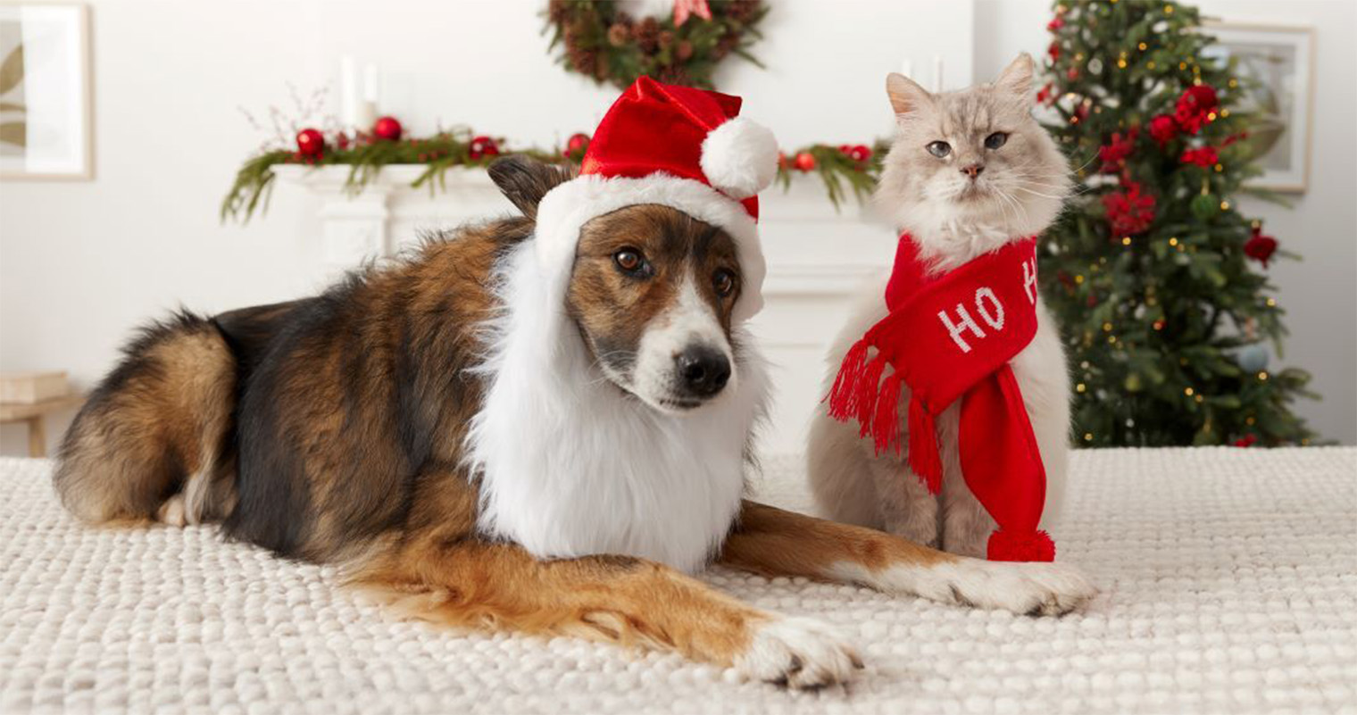 PetSmart’s Holiday Gifts to Welcome Your New Pet Home