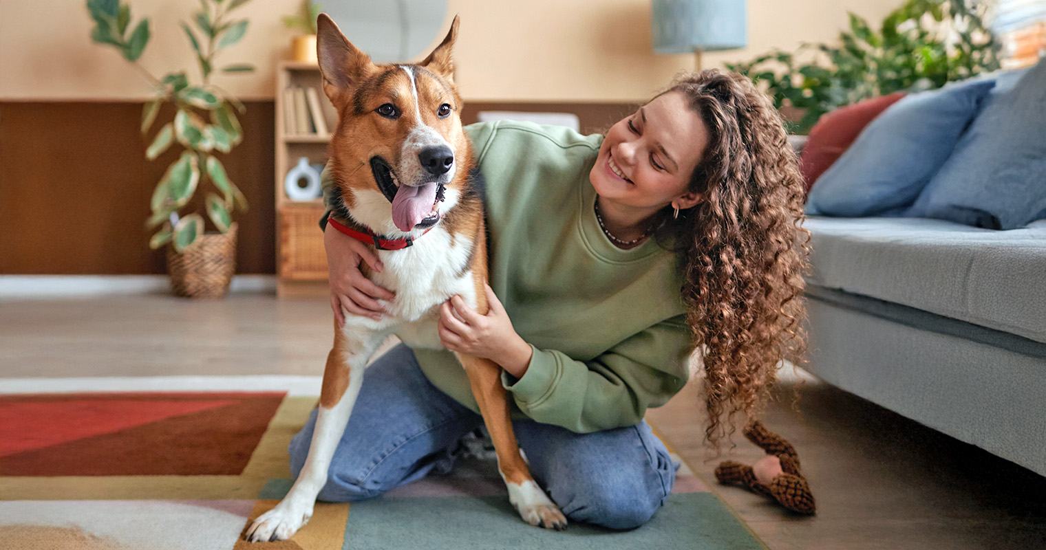 How to Adopt a Dog from Rehome