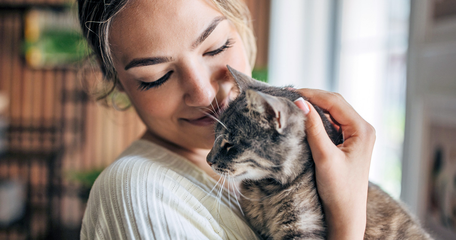 Senior Cat Adoption Guide