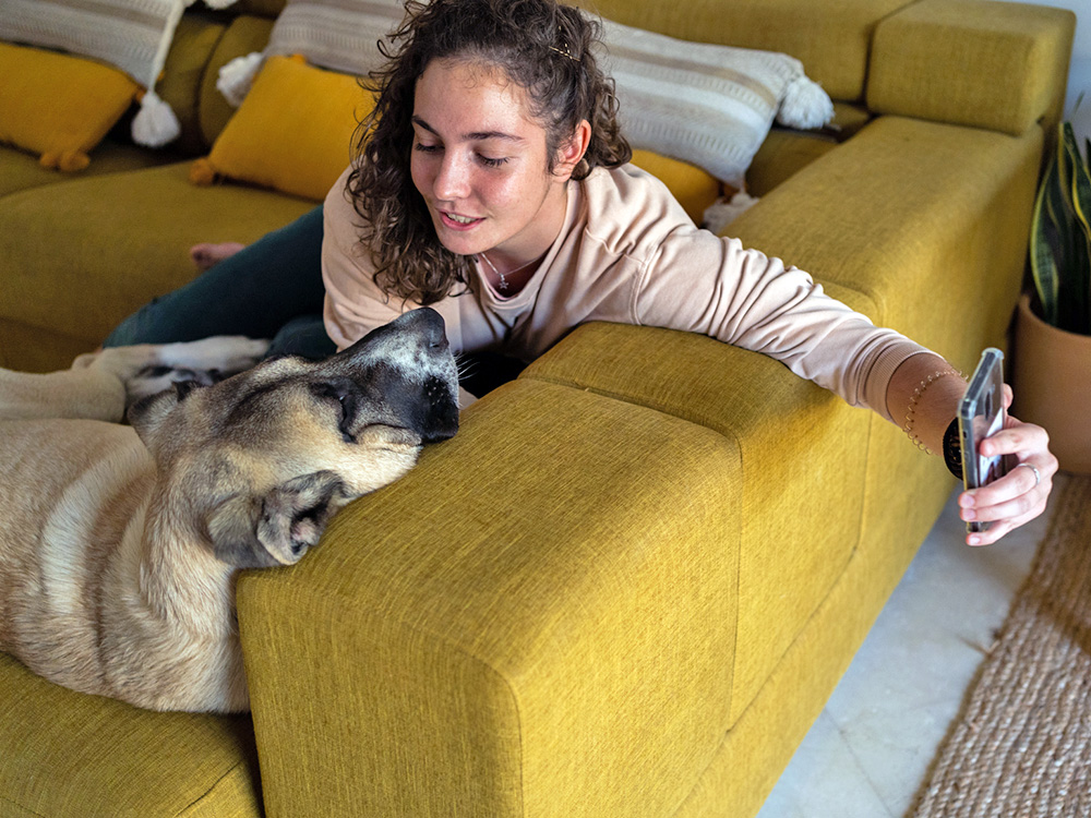 How Much Should You Pay a Dog Sitter? Rates and Cost Factors Explained