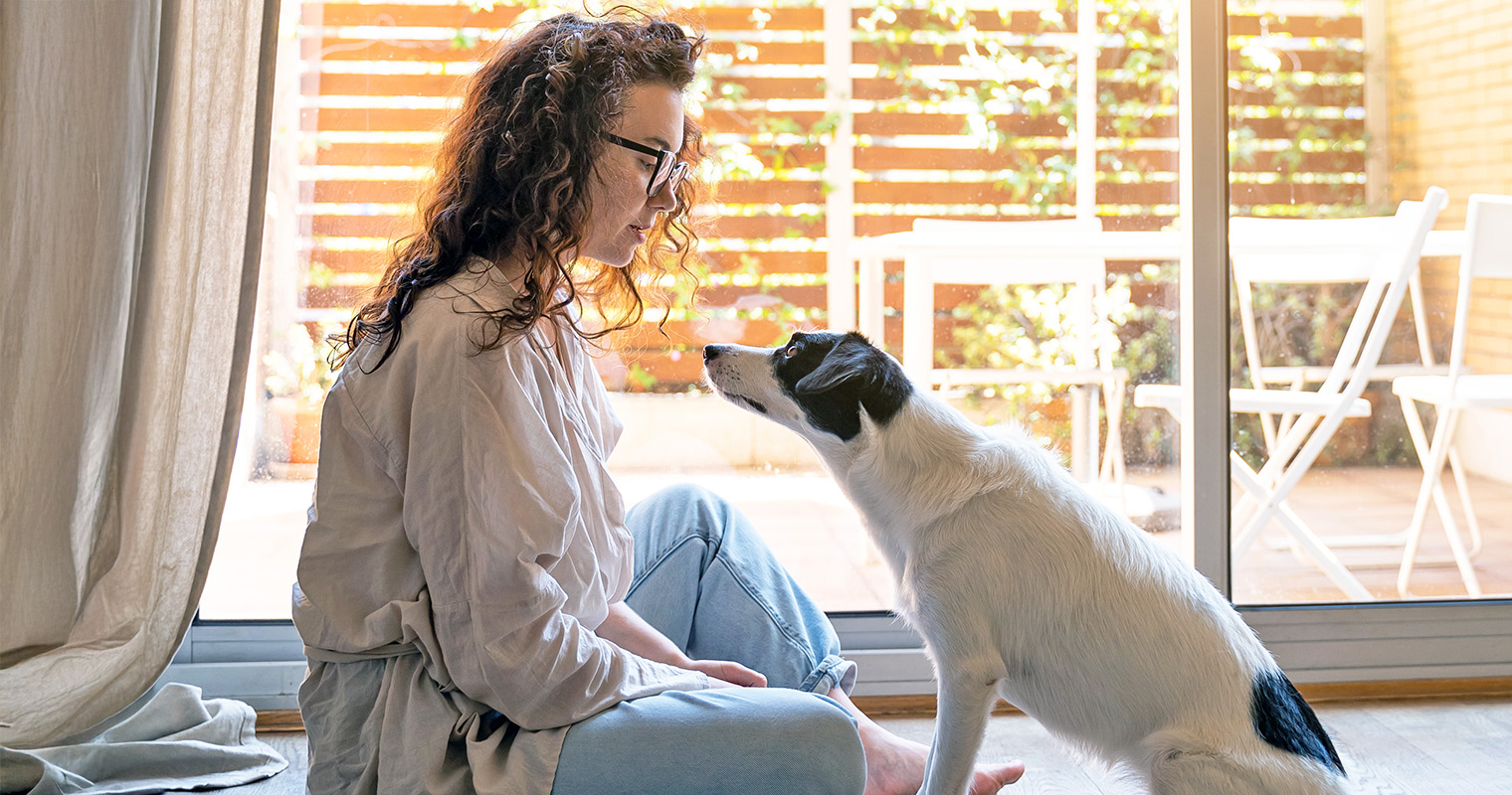 Whining Dogs: How to Stop Your Dog From Whining All Day