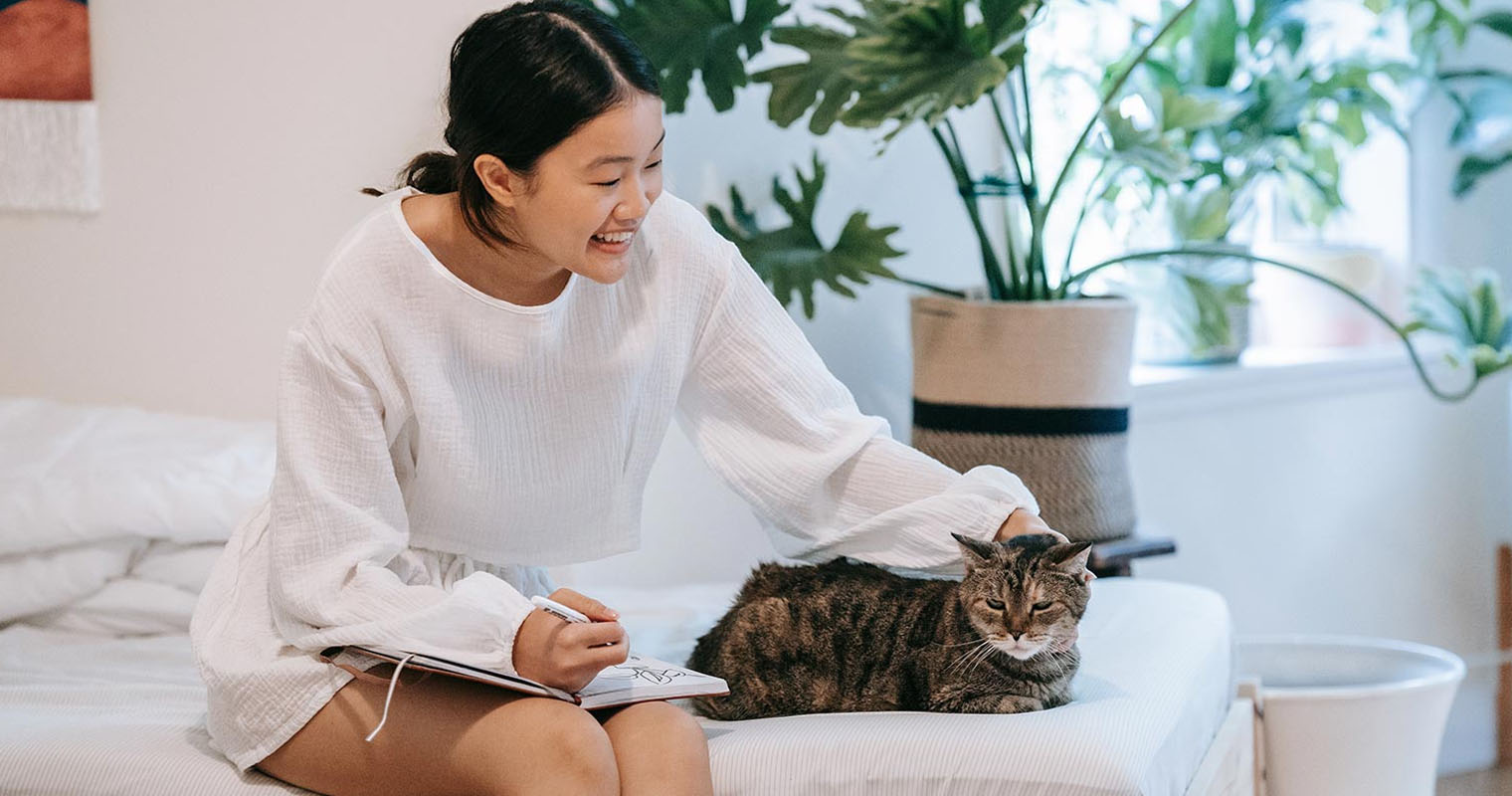 How To Introduce A Kitten To A New Home