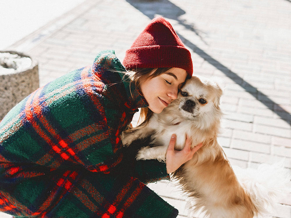 10 Calm Dog Breeds with Chill Vibes