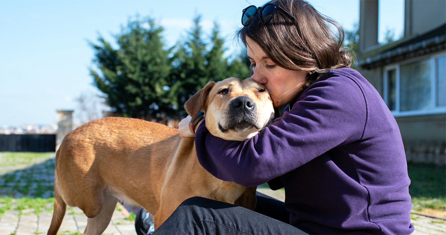 What Is a Reasonable Rehoming Fee for a Dog?