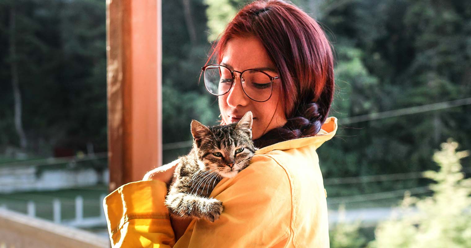 International Rescue Cat Day: 5 Ways to Celebrate