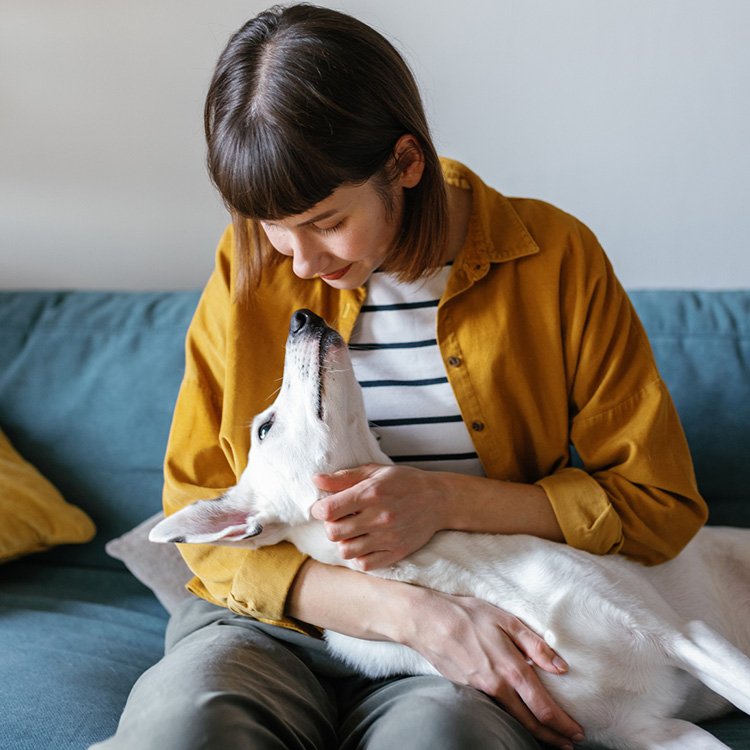 What is a Soul Dog? Finding a Dog Who Steals Your Heart