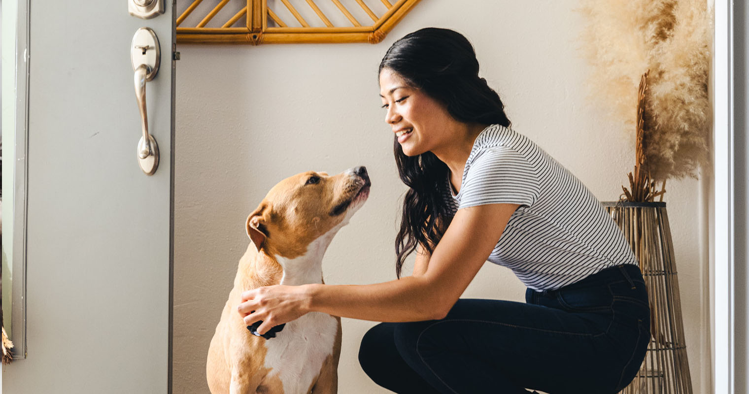 So You’re Bringing Home a Rescue Dog—Here’s What to Do