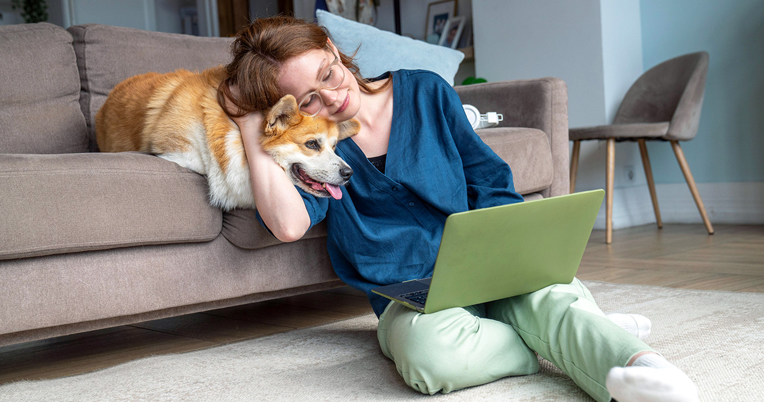 What is a Reasonable Rehoming Fee for a Corgi?