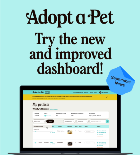 What's New at Adopt a Pet in September 2024