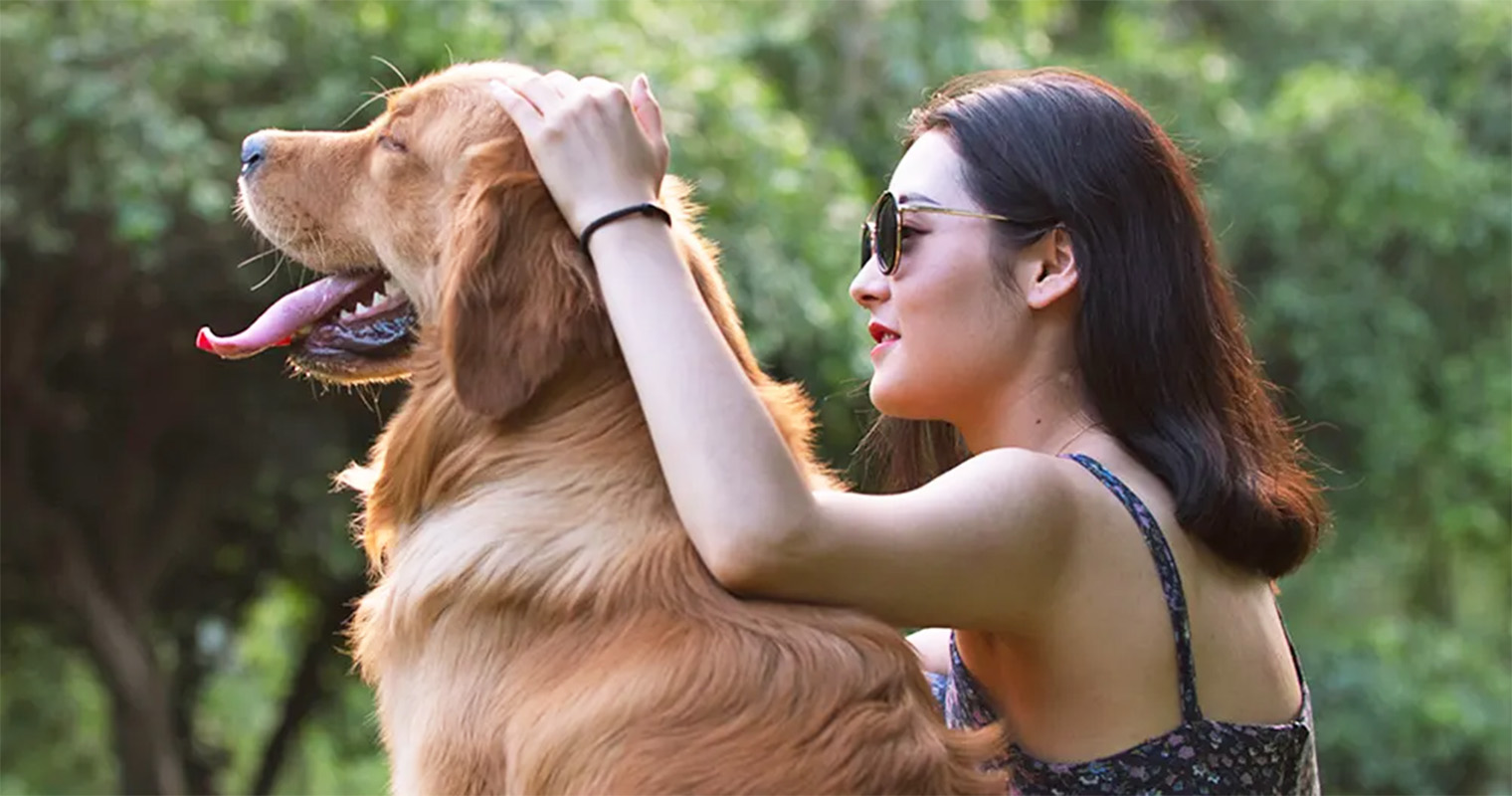Become a Short-Term Dog Foster Parent: Your Guide