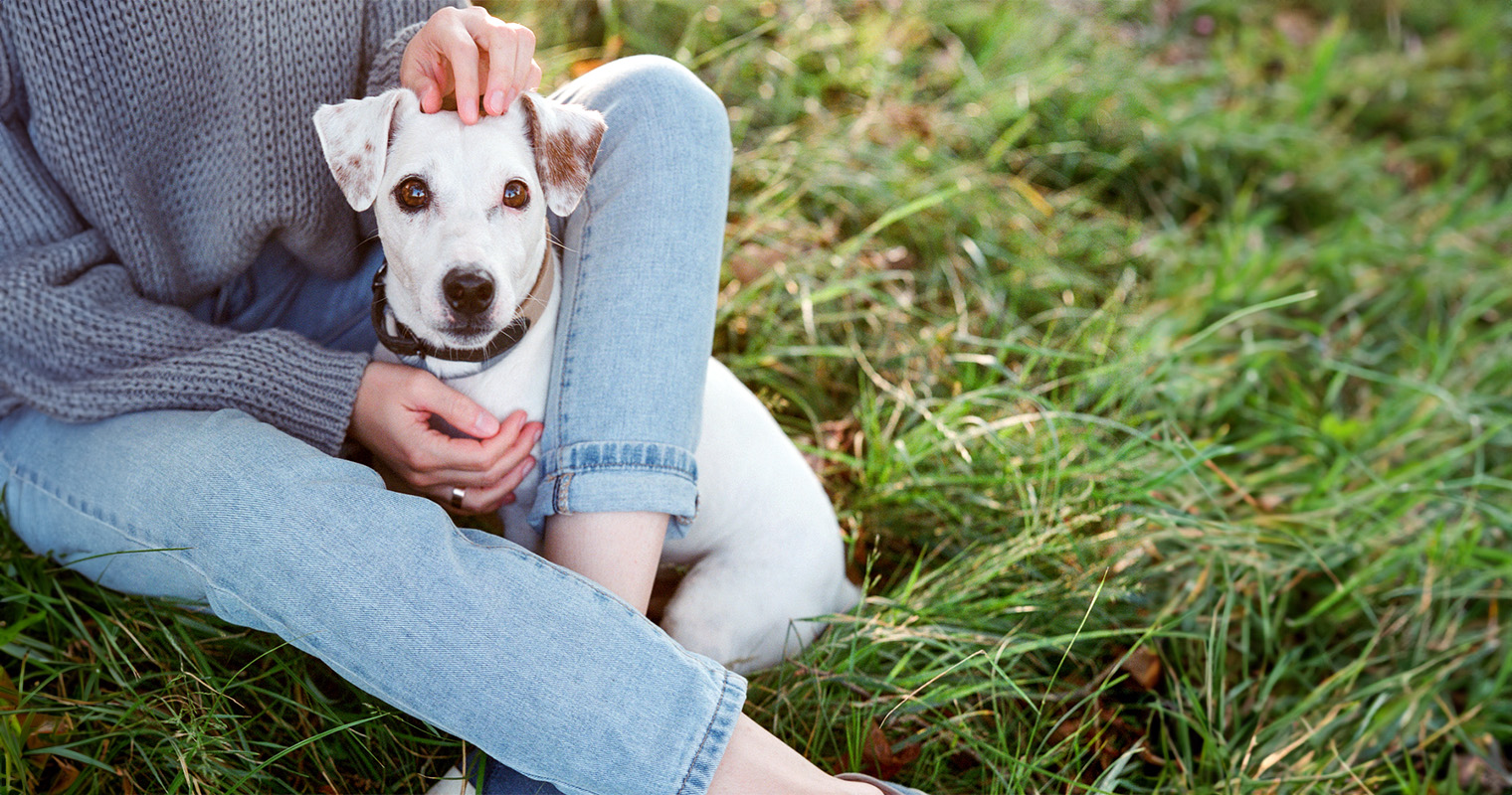 15 Healthiest Dog Breeds That Stay Young at Heart