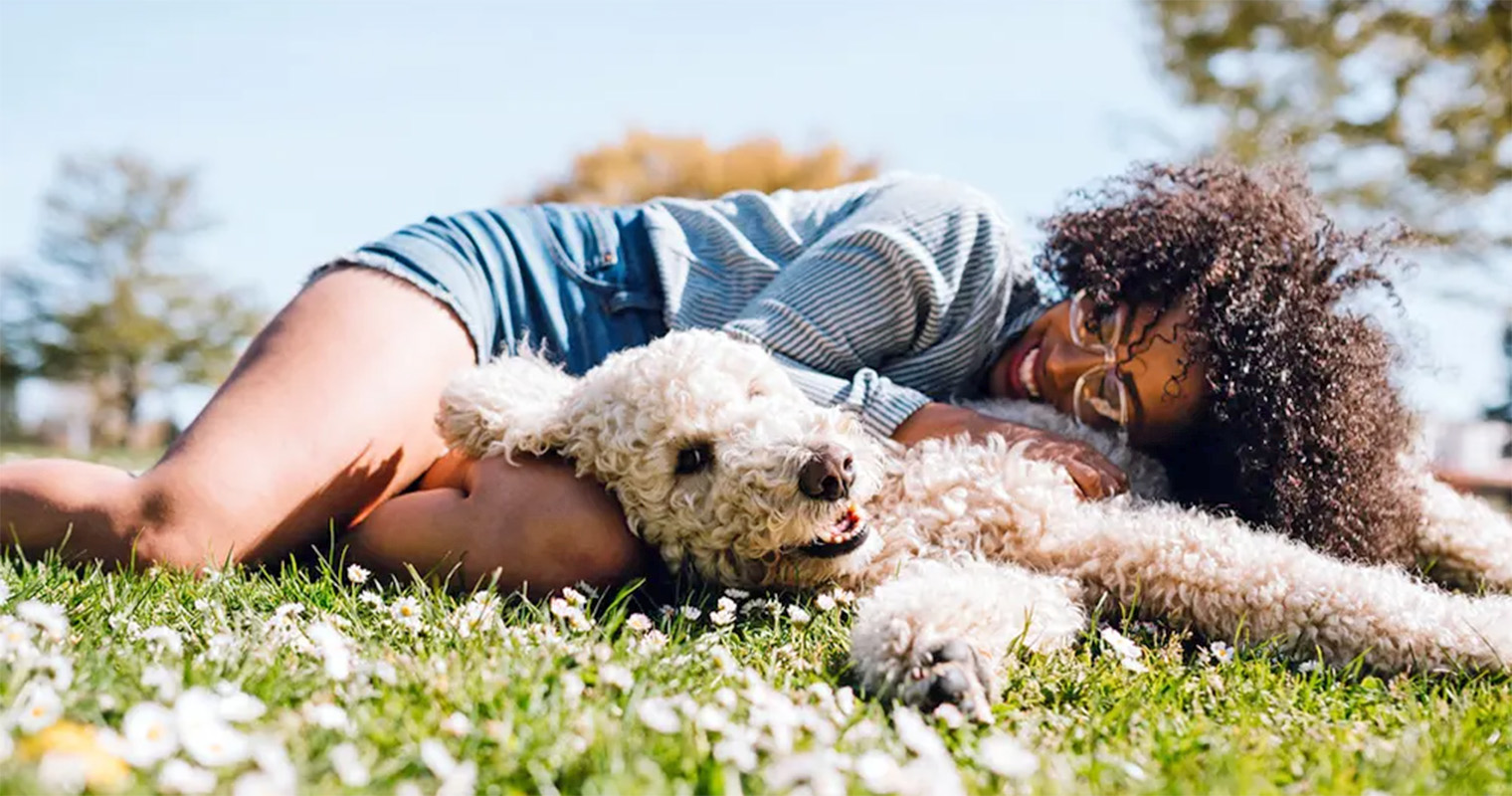 10 Tips to Keep a Pet Healthy and Happy
