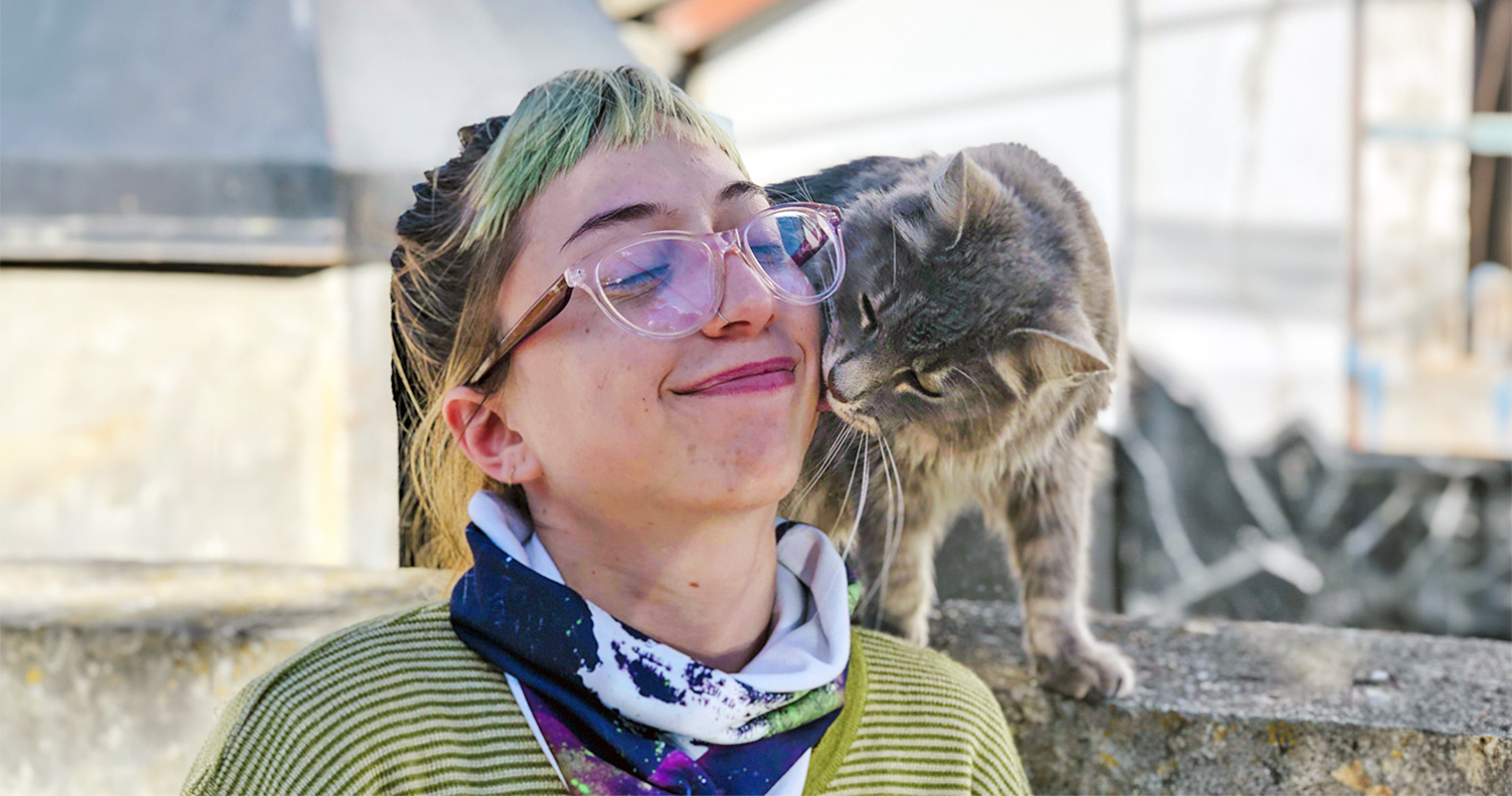 What To Look For When Adopting An Outdoor Cat?