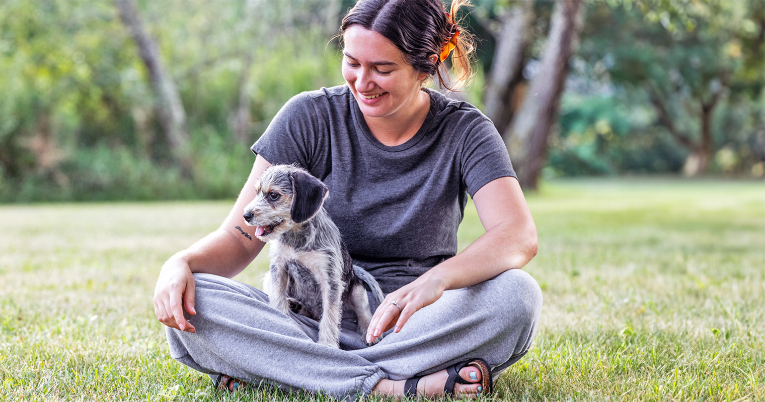 National Mutt Day: Why You Should Adopt a Mixed Breed Dog