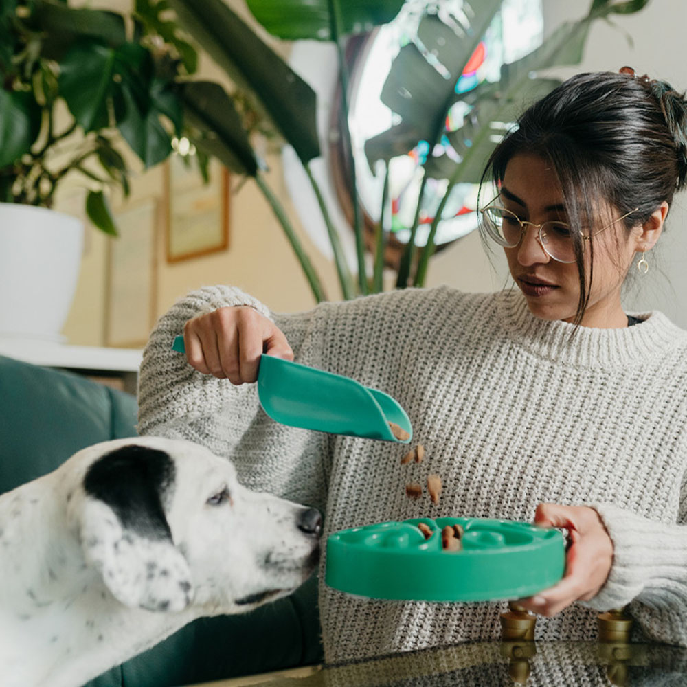 A Food Guide for New Dog Parents—How Much (and How Often) to Feed Your Dog