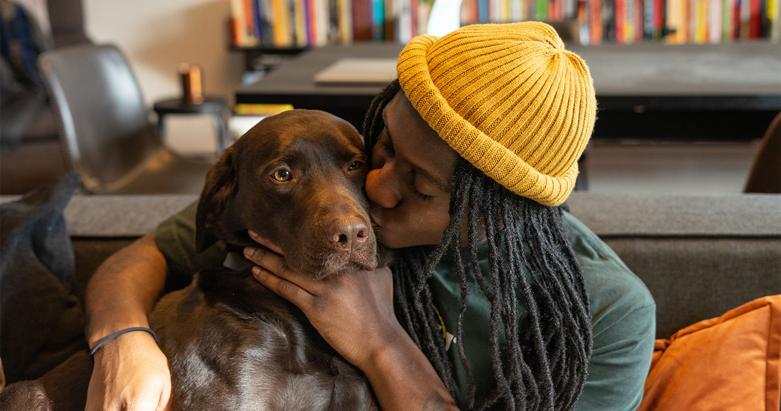 How Do I Give Up My Labrador Retriever?