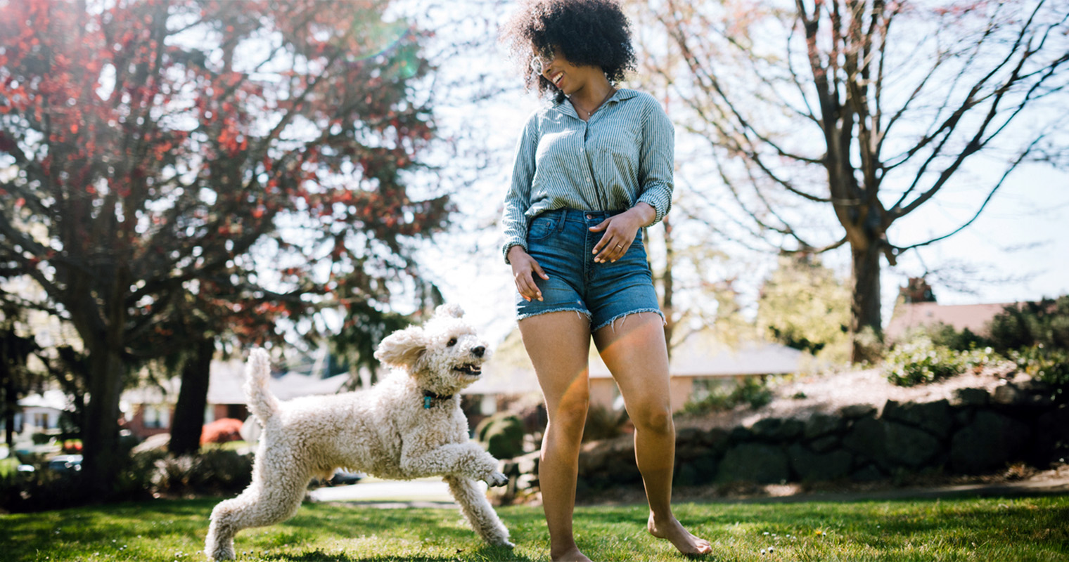 The Doodle Dog Guide: Popular Poodle Mixes, Explained