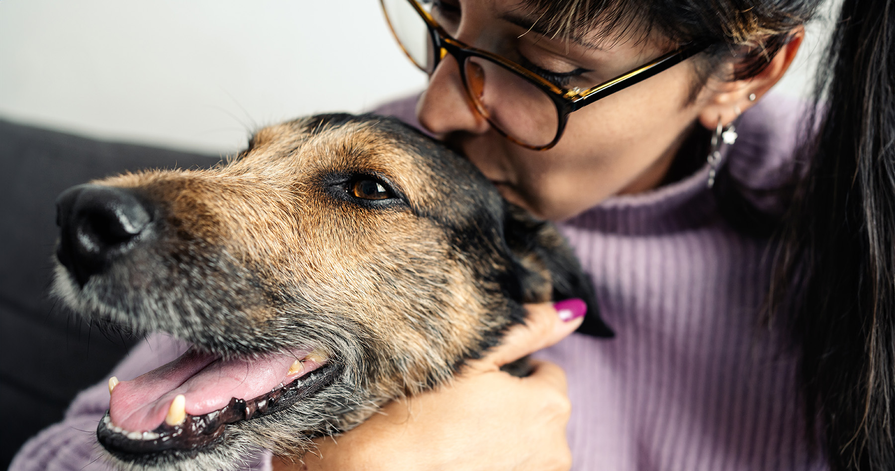Rescue Dog Behavior: What to Expect from a Traumatized Dog