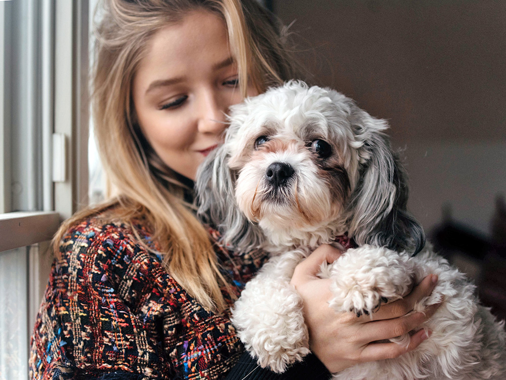 Why People Say Pets Cross the “Rainbow Bridge” When They Die—And How It ...