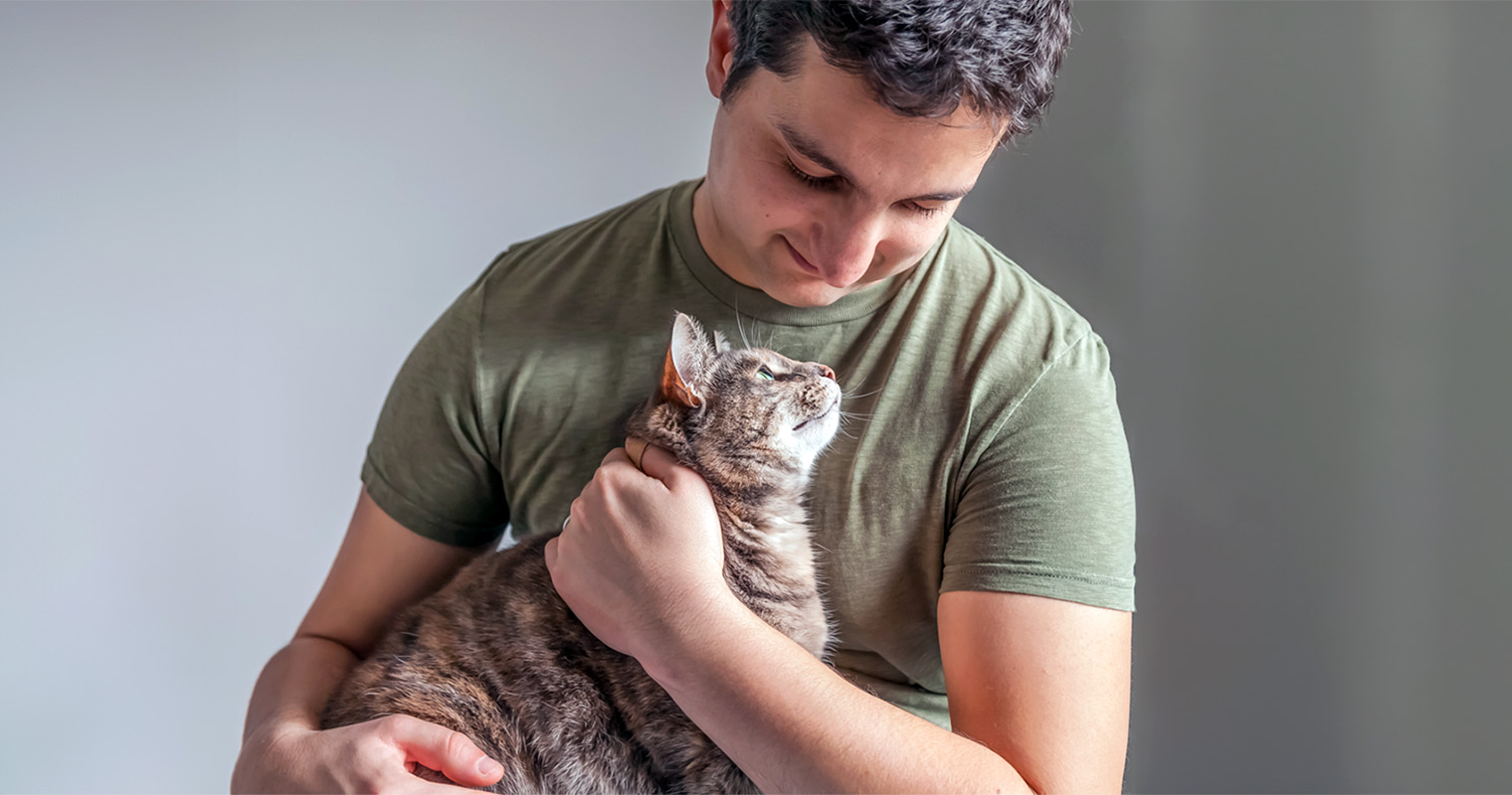 12 Most Social Cat Breeds