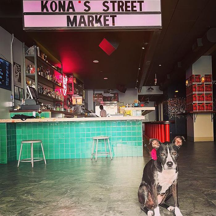 Your Go-To Dog-Friendly Guide to San Francisco · Kinship