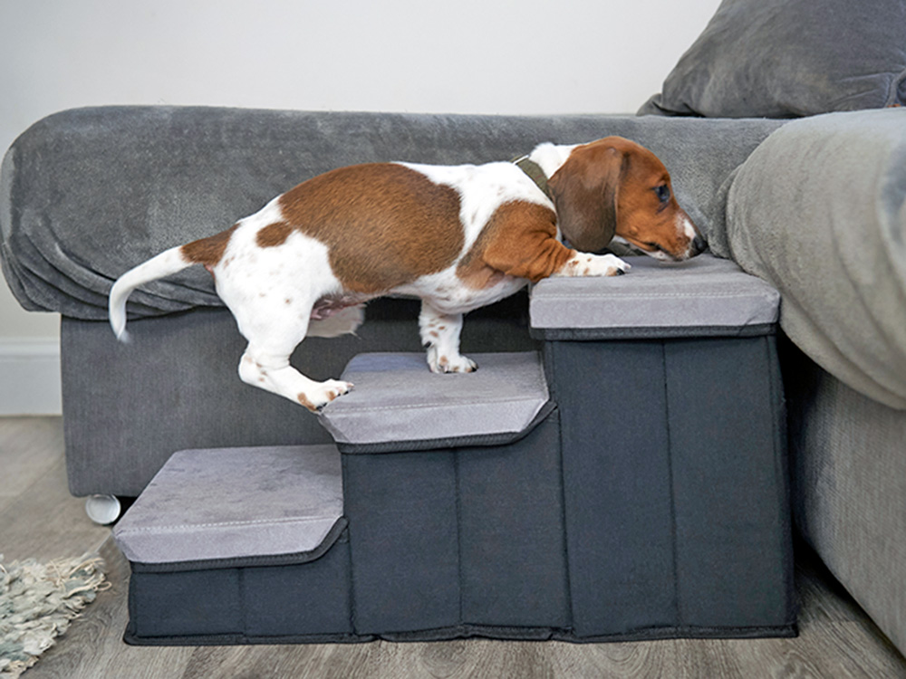 10 Best Dog Stairs of 2026—Reviewed · Kinship