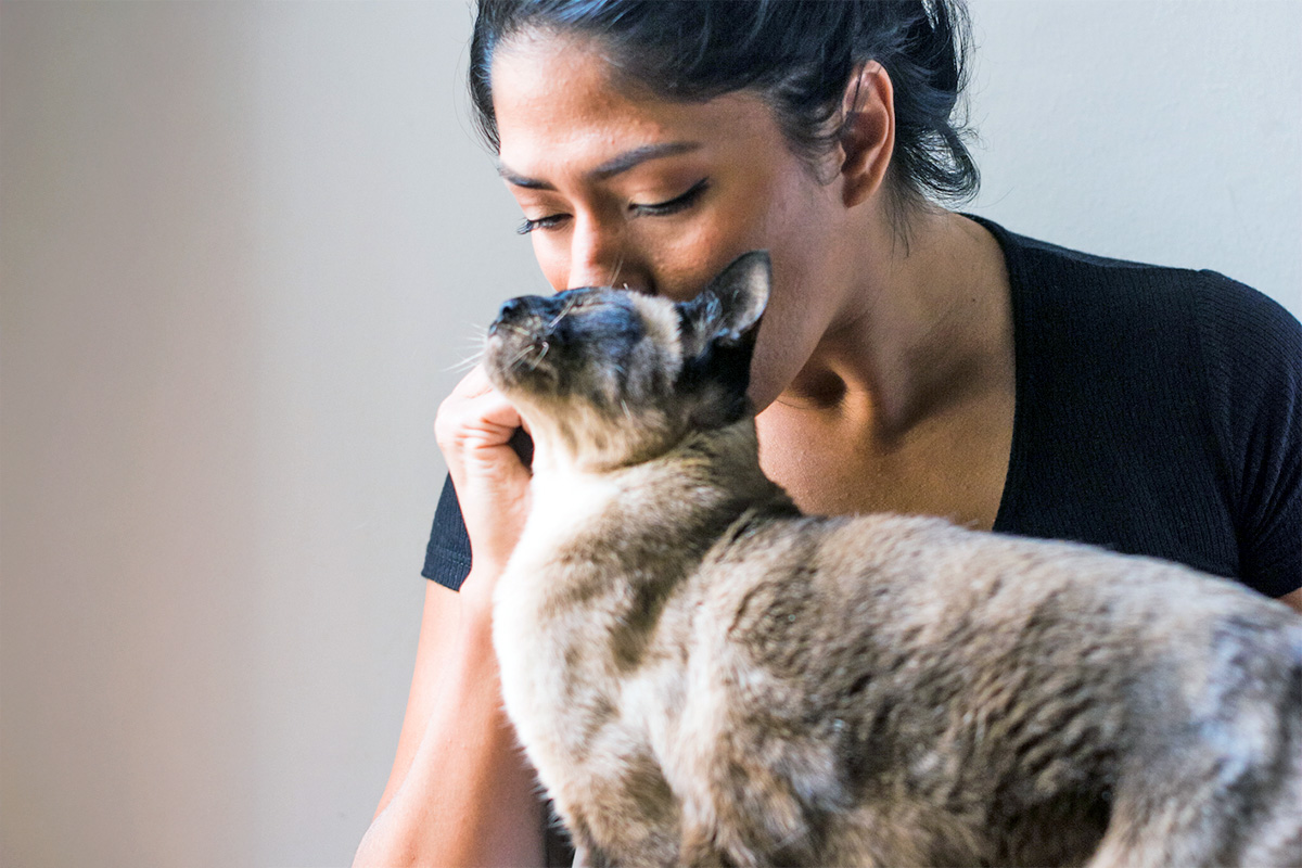 7 Signs Your Cat Is an Extrovert · Kinship