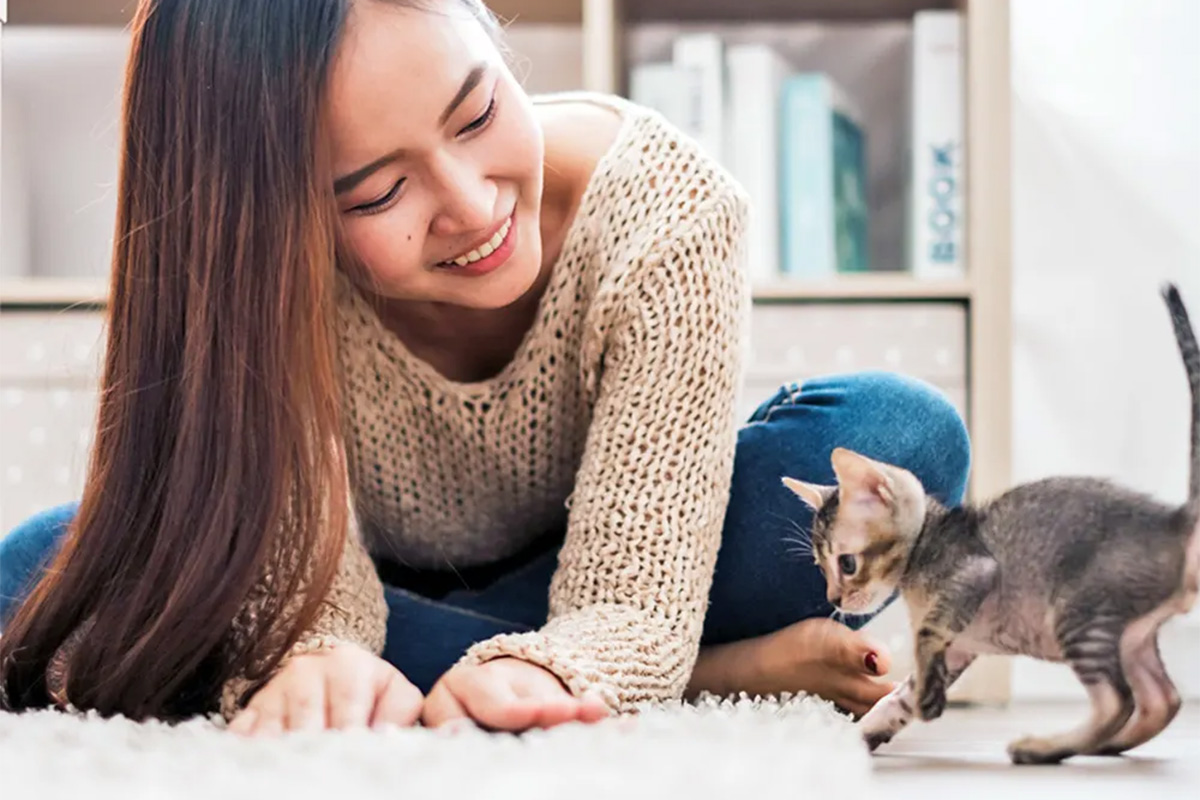 7 Reasons Your Cat Thinks You’re Weird · Kinship