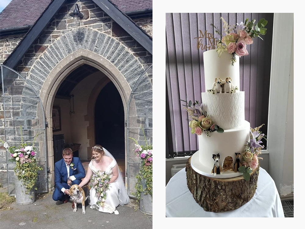 6 People Who Featured Their Pets on Their Wedding Cakes · Kinship