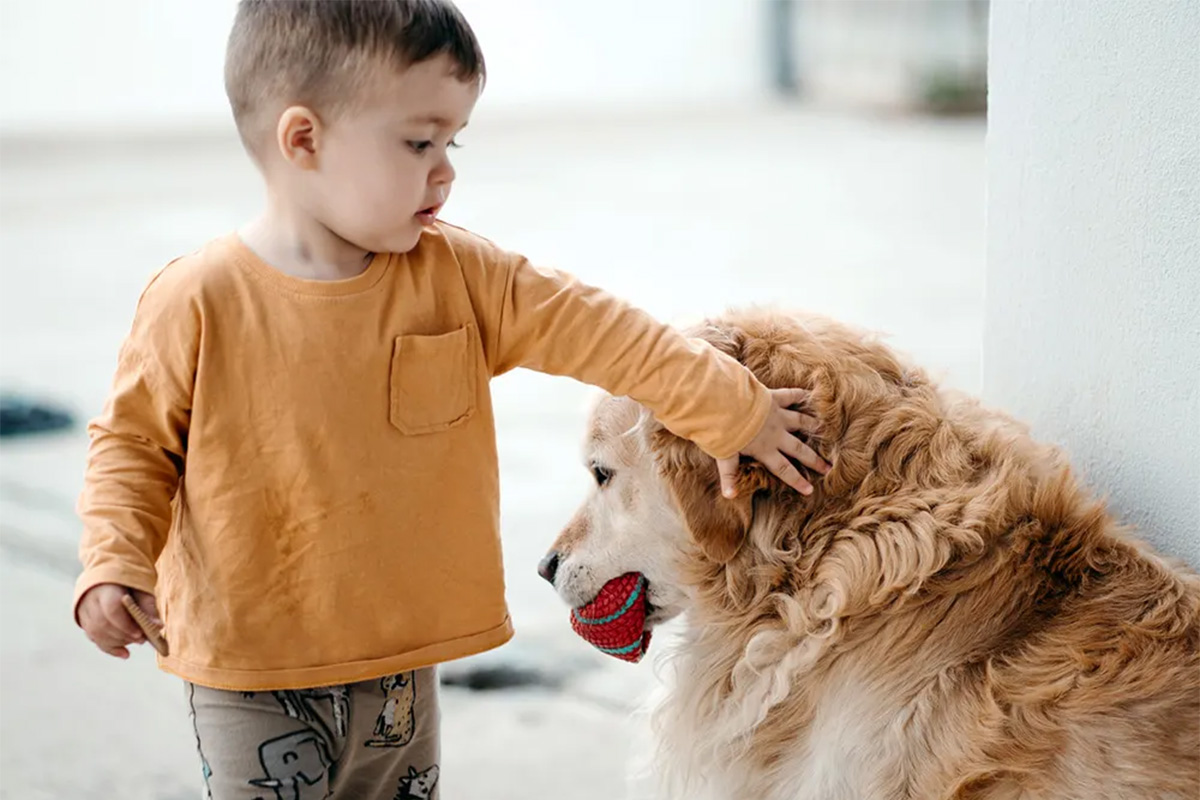 child scared of dogs