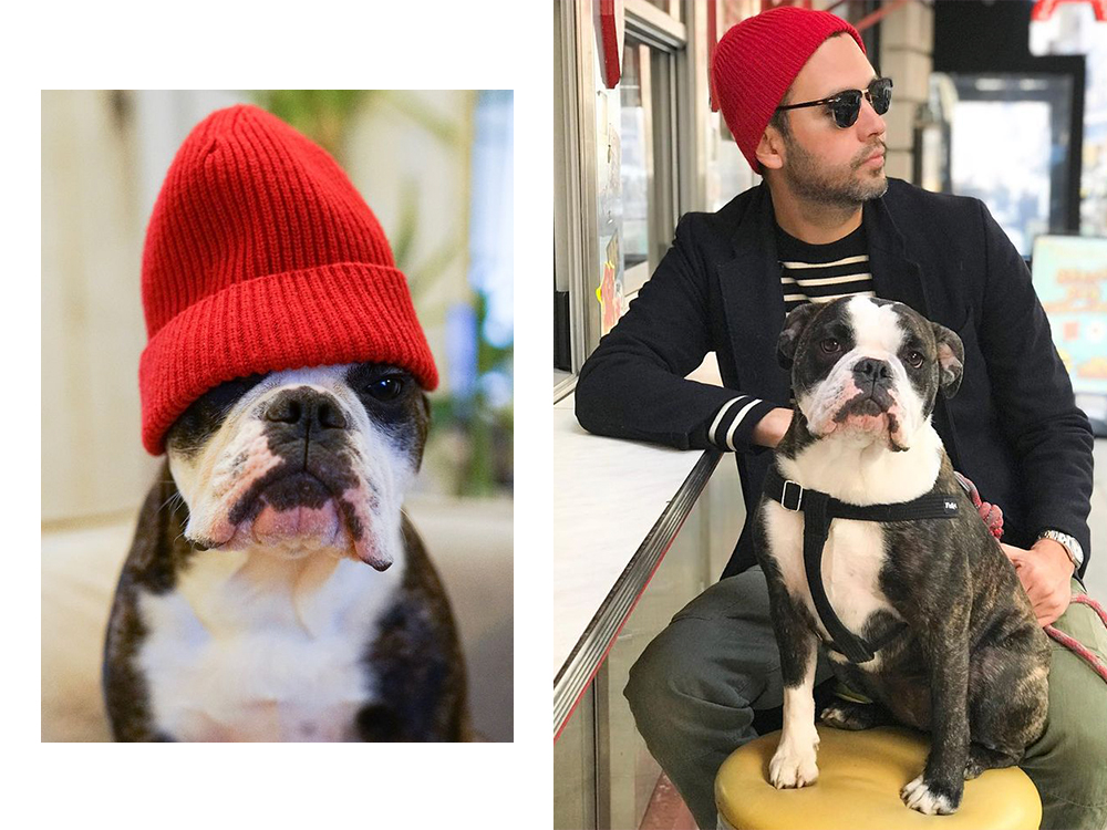 Steven Rojas And His Dog Zelda Are Taking On New York City Together ...