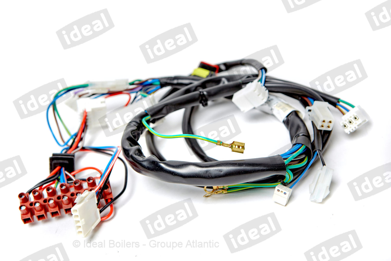 HARNESS MAINS ErP COMBI COMBI+ CODE | Ideal Parts