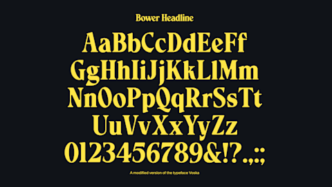 Bower – Brand Identity - OKTO