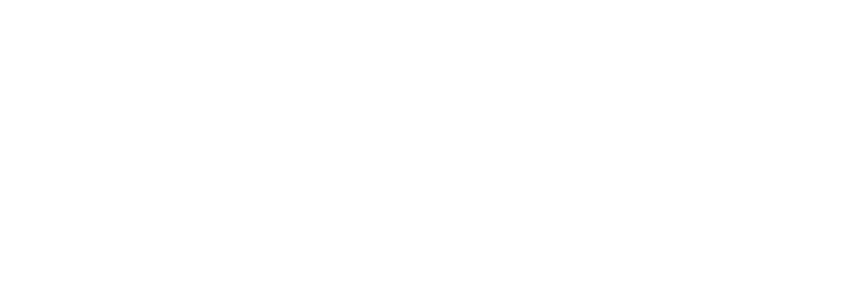 Insurely – Brand Identity - OKTO